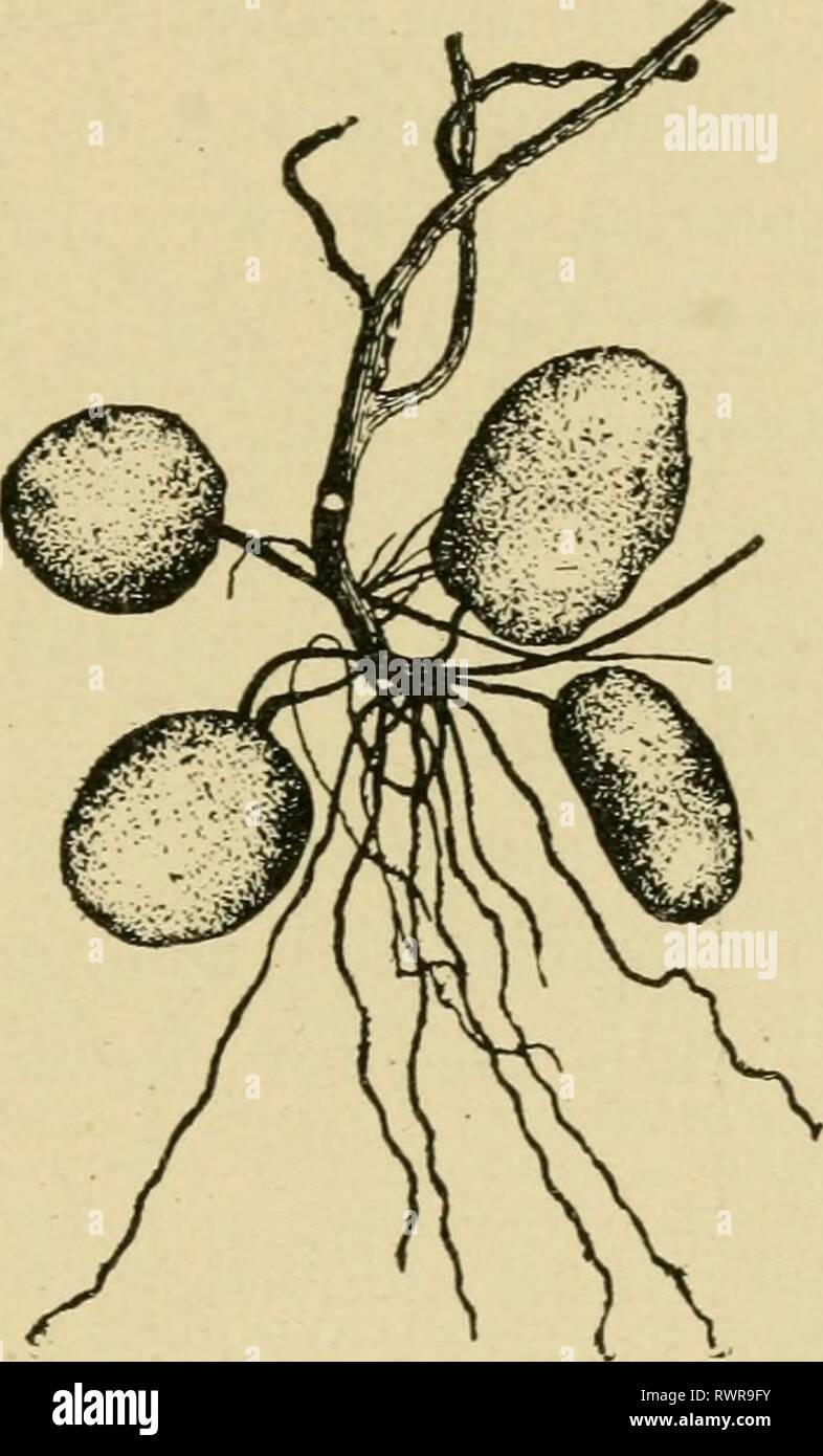 Fig 6 drawing shows hand hi-res stock photography and images - Alamy