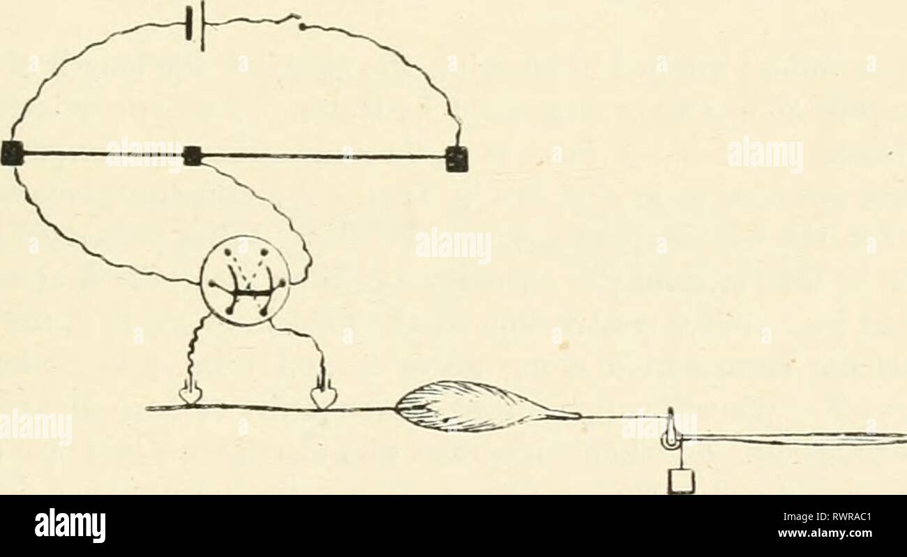 Motor fibres hi-res stock photography and images - Alamy