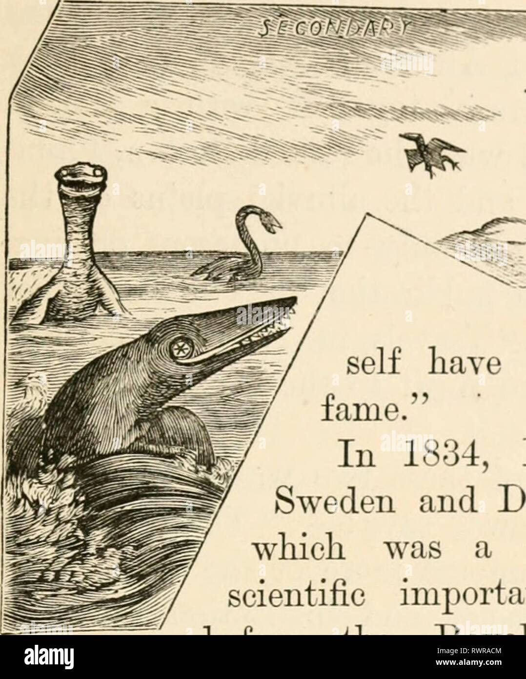 Eminent naturalists hi-res stock photography and images - Alamy