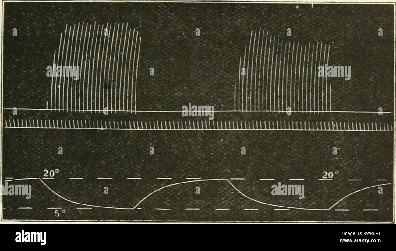 Motor fibres hi-res stock photography and images - Alamy