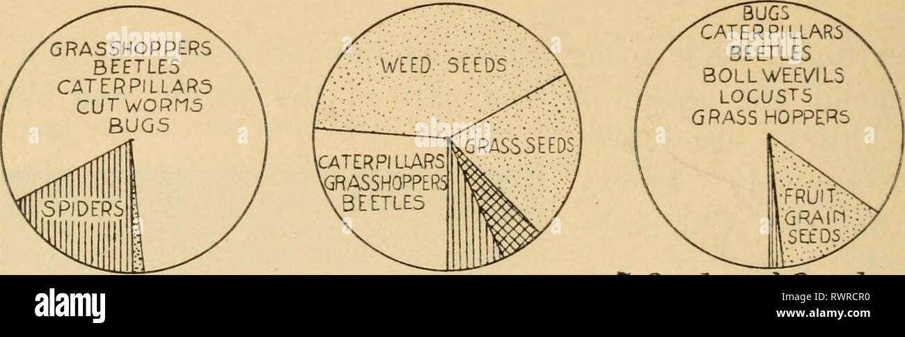 Elementary principles of agriculture; a Stock Photo - Alamy