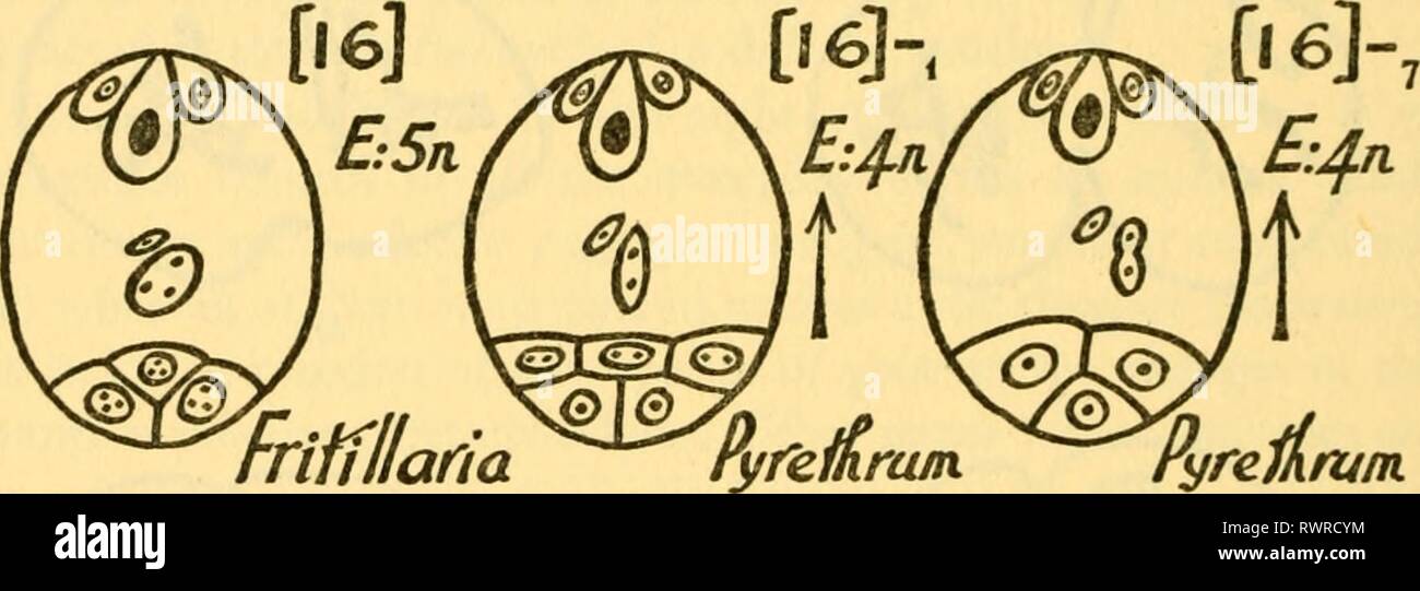 The elements of genetics (1950 Stock Photo - Alamy