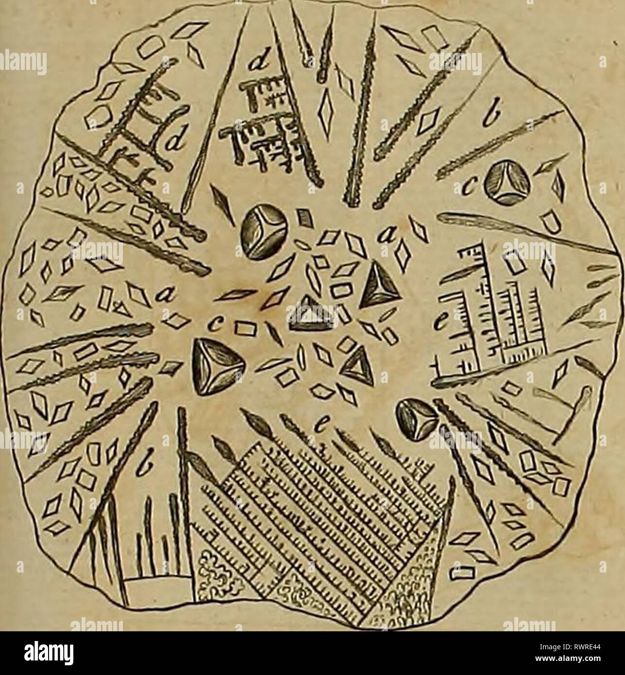 Employment for the microscope Employment for the microscope : in two ...