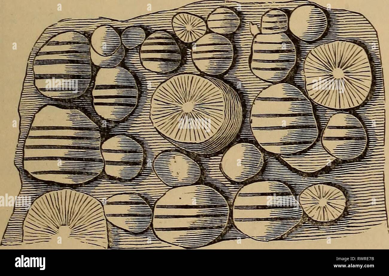 Elements of geology a Stock Photo - Alamy