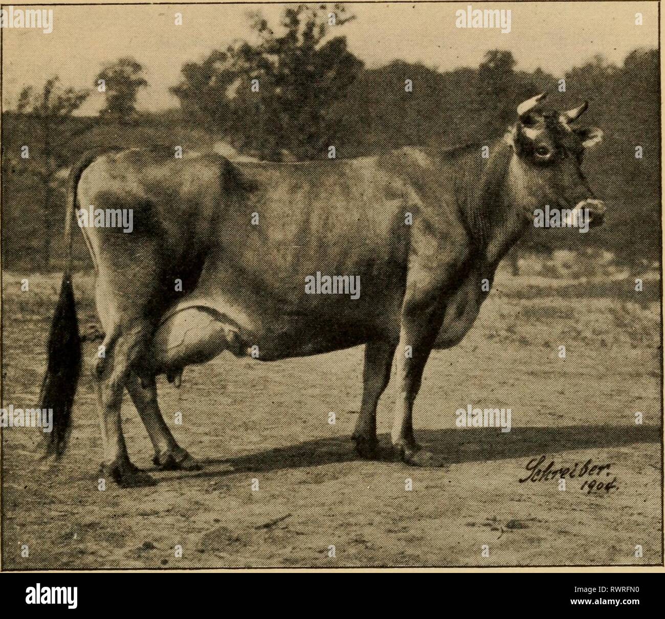 Elementary principles of agriculture; a Stock Photo - Alamy