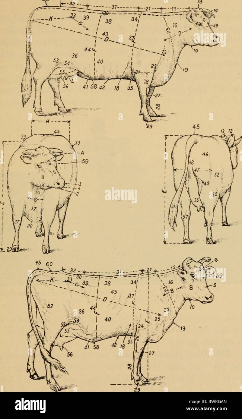 Elementary principles of agriculture; a Stock Photo - Alamy