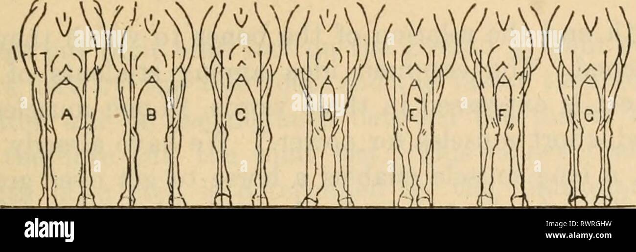 Elementary principles of agriculture Stock Photo - Alamy