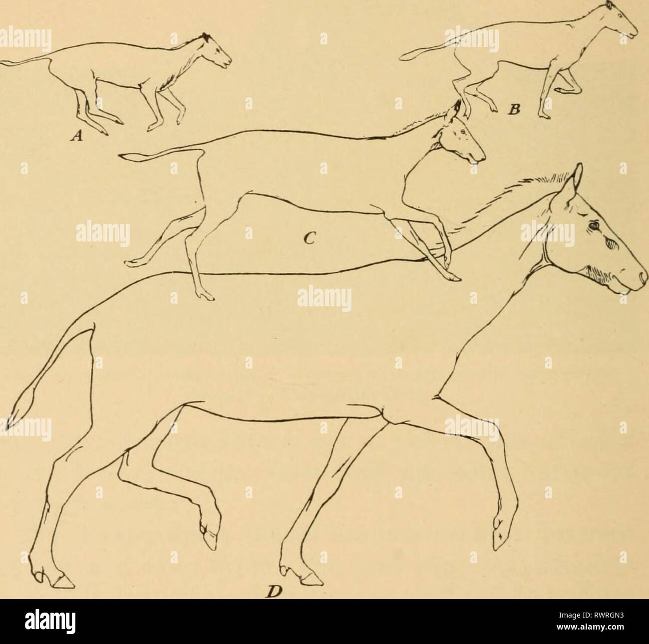 Elementary principles of agriculture; a Stock Photo - Alamy