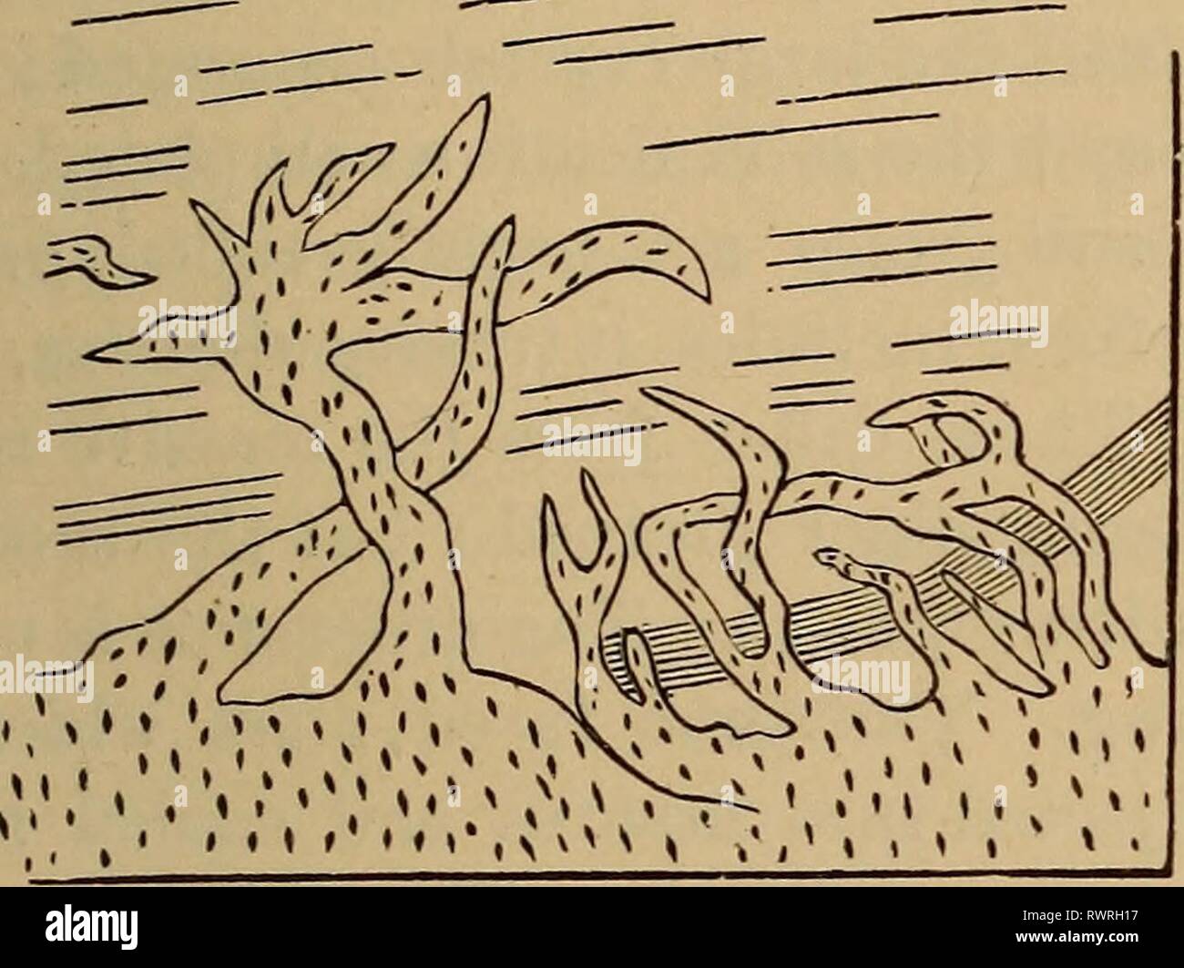 Elements of geology a Stock Photo - Alamy