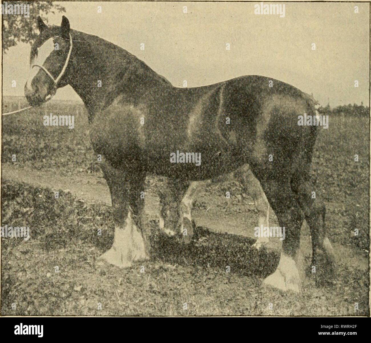 Elementary principles of agriculture Stock Photo - Alamy