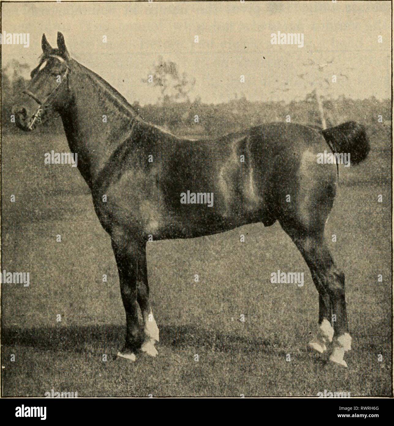 Elementary principles of agriculture Stock Photo - Alamy