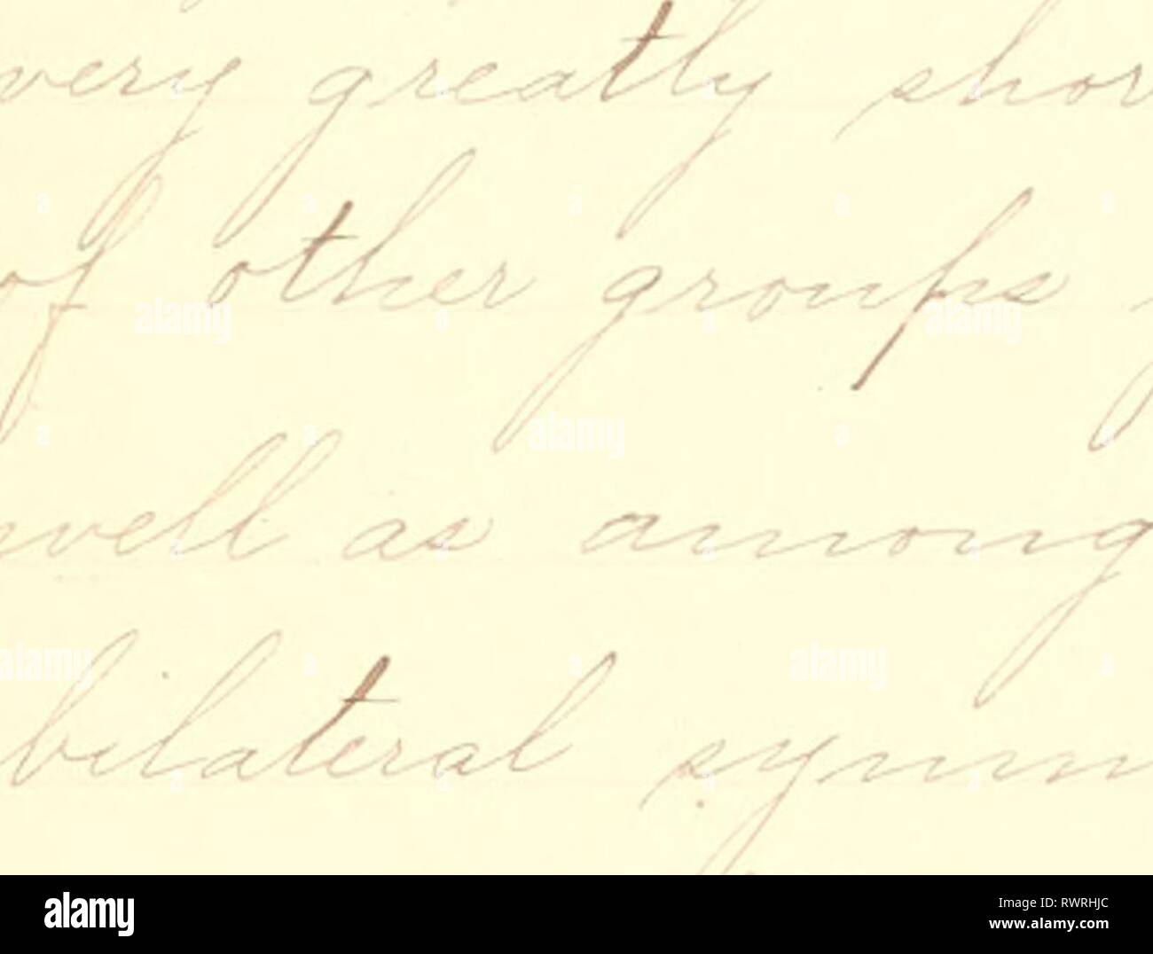 The embryology of Crepidula (1897 Stock Photo - Alamy