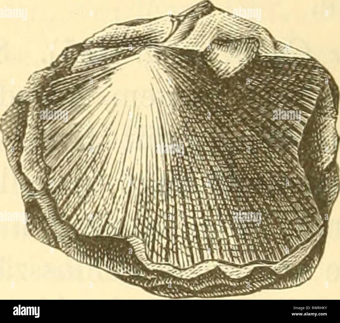 Daon hi-res stock photography and images - Alamy