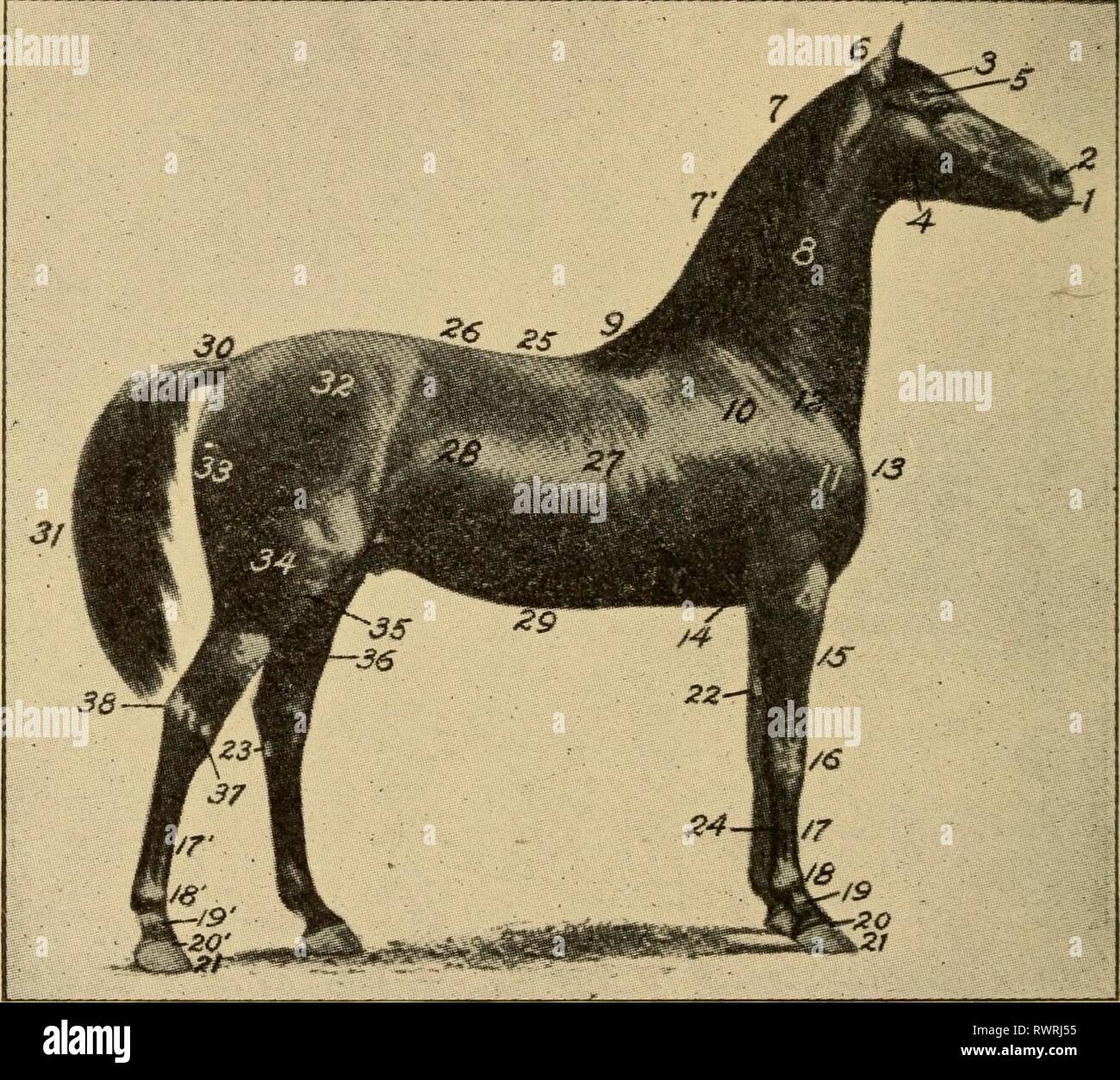 Elementary principles of agriculture; a Stock Photo - Alamy