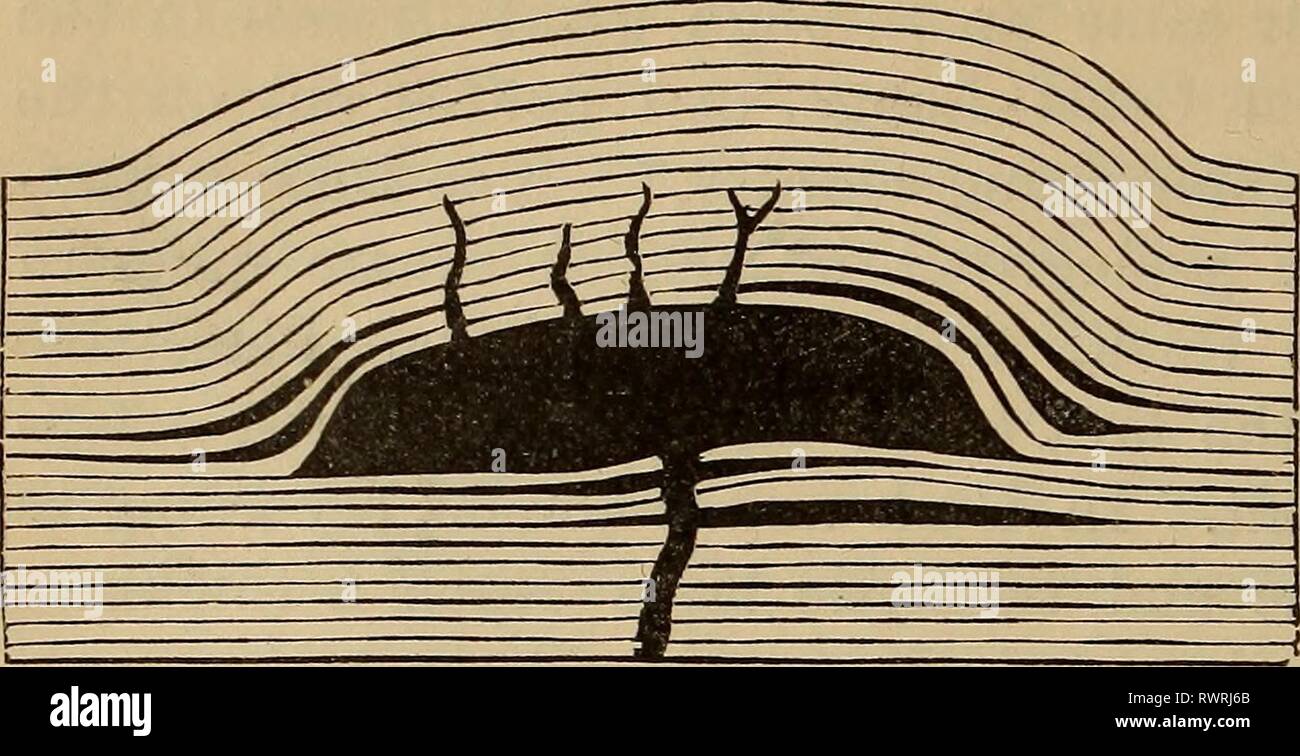 Elements of geology a Stock Photo - Alamy