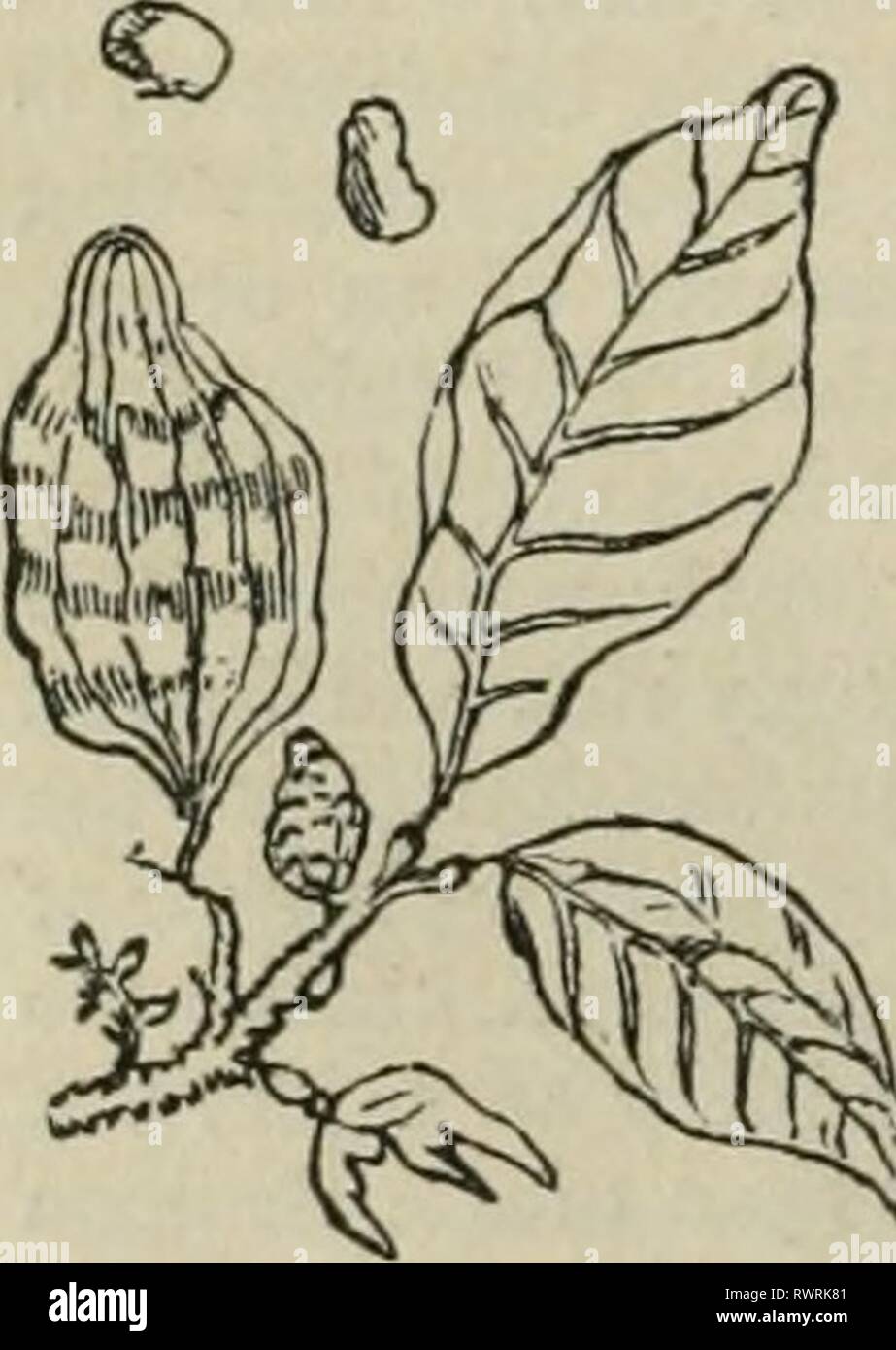 Oil transfer drawing hi-res stock photography and images - Alamy