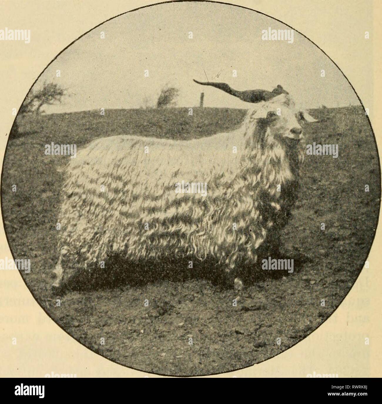 Elementary principles of agriculture Stock Photo - Alamy