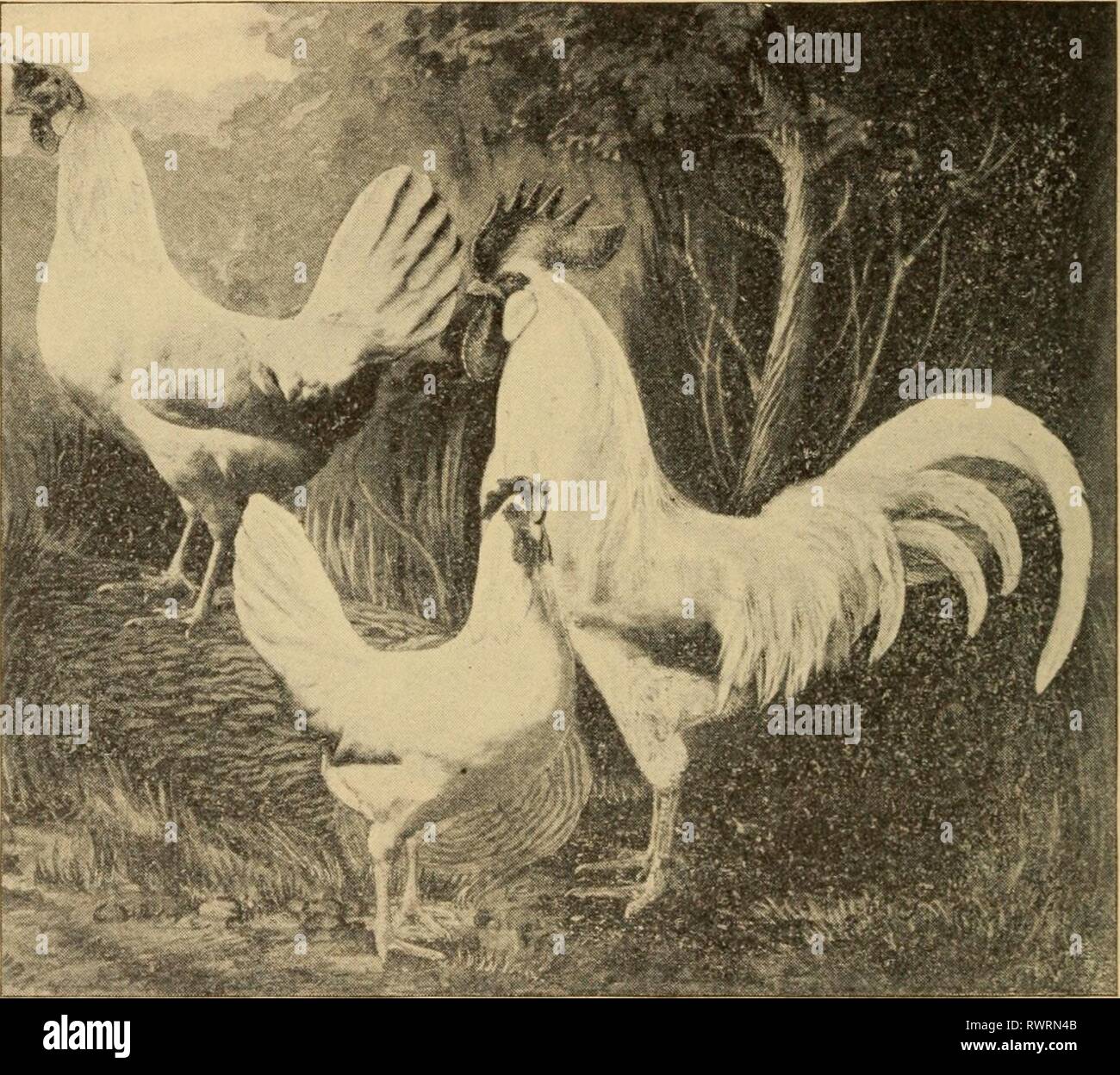 Elementary principles of agriculture; a Stock Photo - Alamy