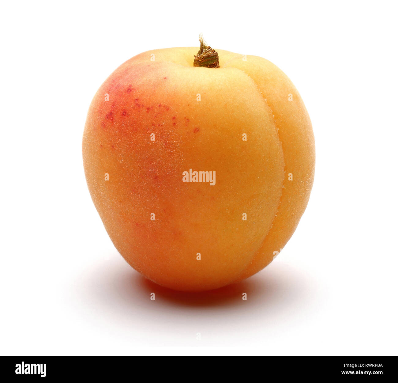 Single fresh apricot isolated on white background Stock Photo - Alamy