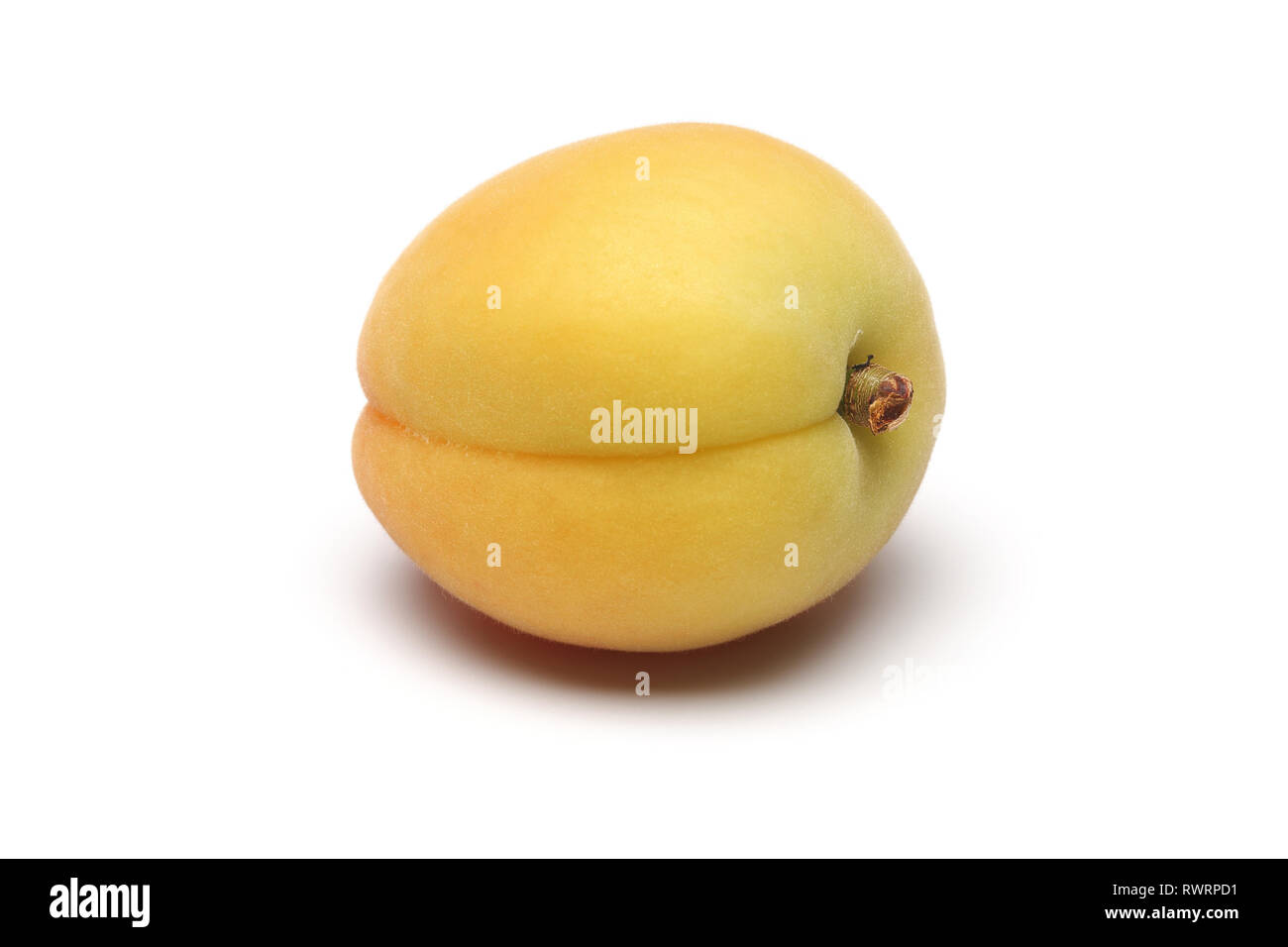 Single fresh apricot isolated on white background Stock Photo - Alamy