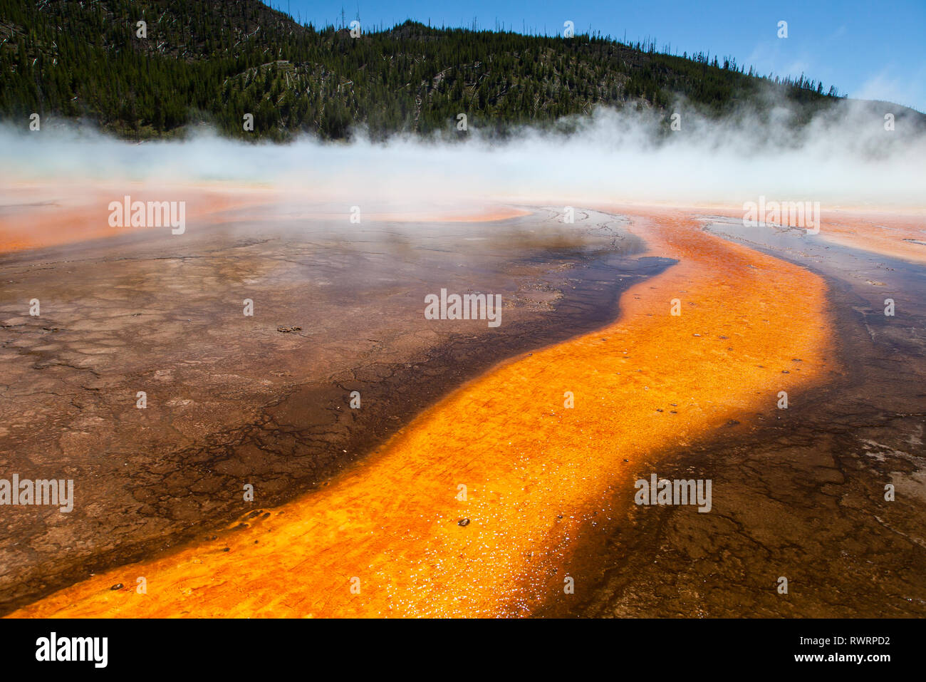 Grand prismatic hot springs hi-res stock photography and images - Alamy