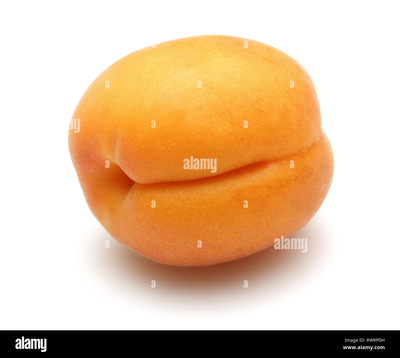 Single fresh apricot isolated on white background Stock Photo - Alamy
