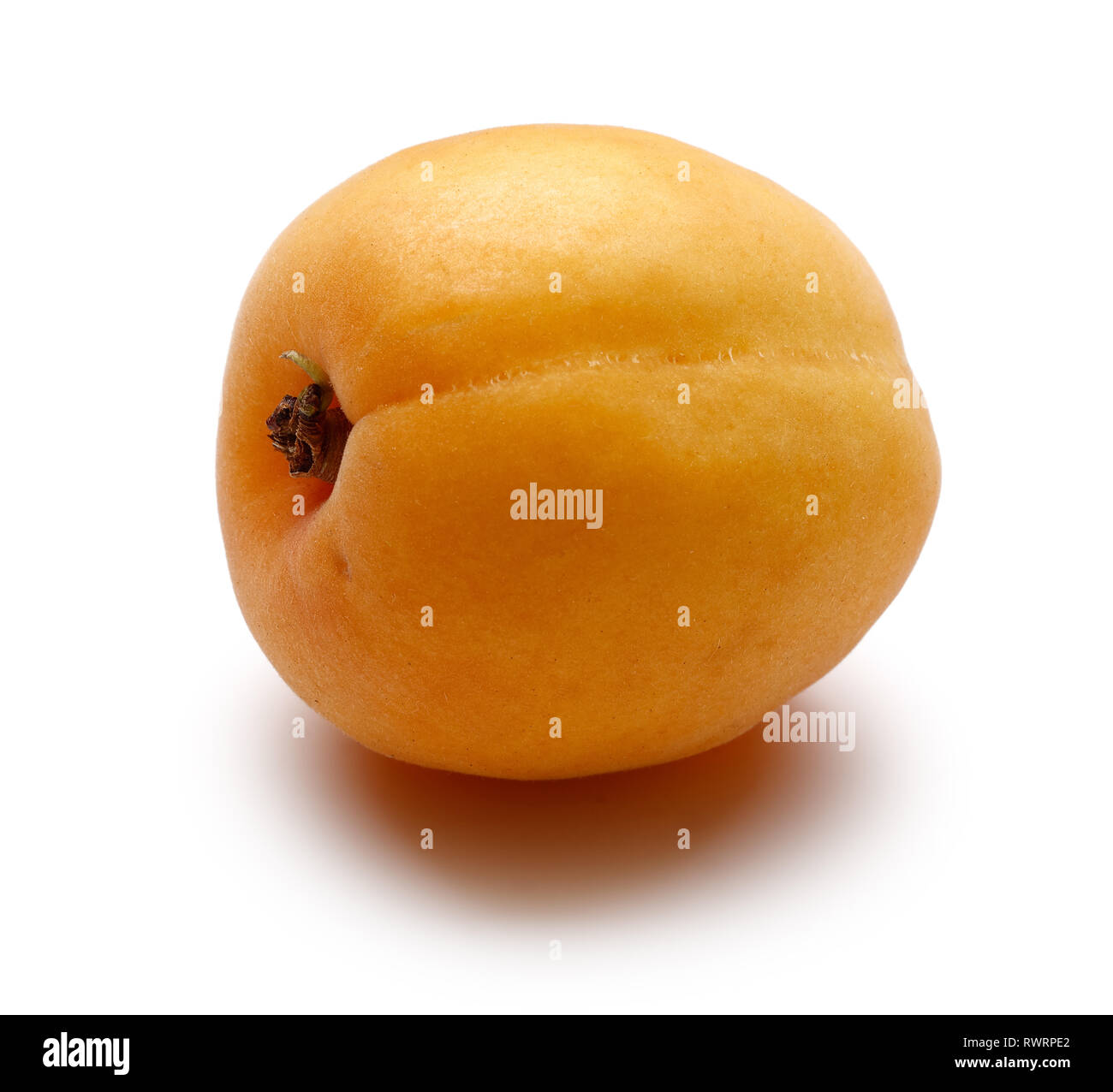 Single fresh apricot isolated on white background Stock Photo - Alamy