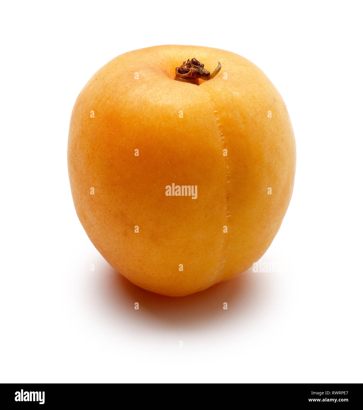 Single fresh apricot isolated on white background Stock Photo - Alamy