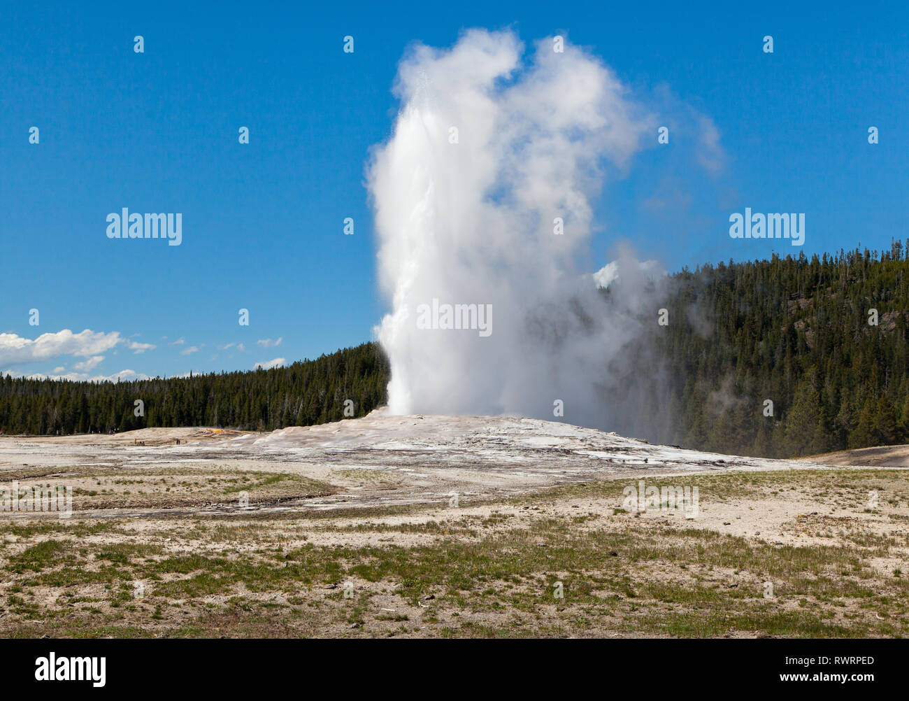 Old faithful geyser yellowstone hi-res stock photography and images - Alamy