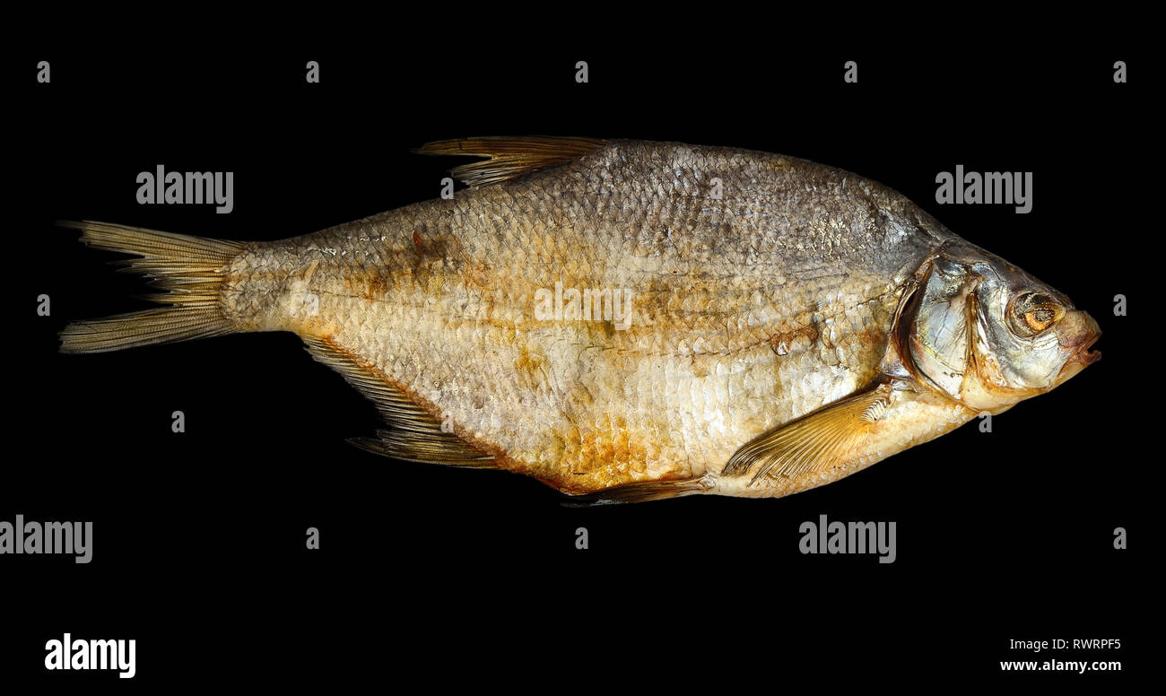 One dried fish isolated on black background Stock Photo - Alamy