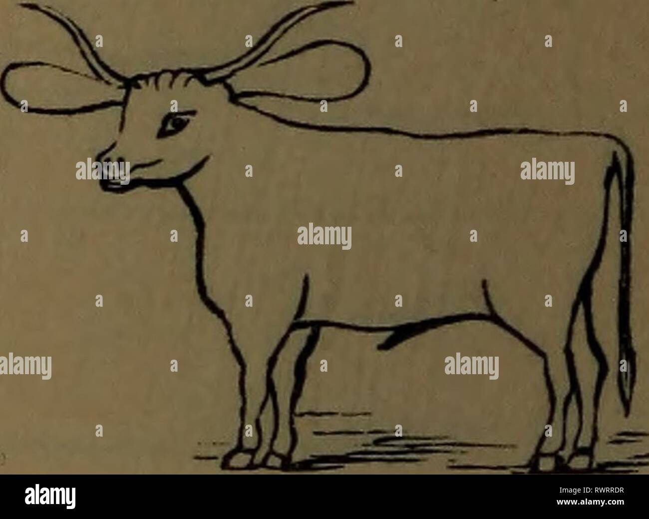 Elliot's book of forms; (1881 Stock Photo - Alamy