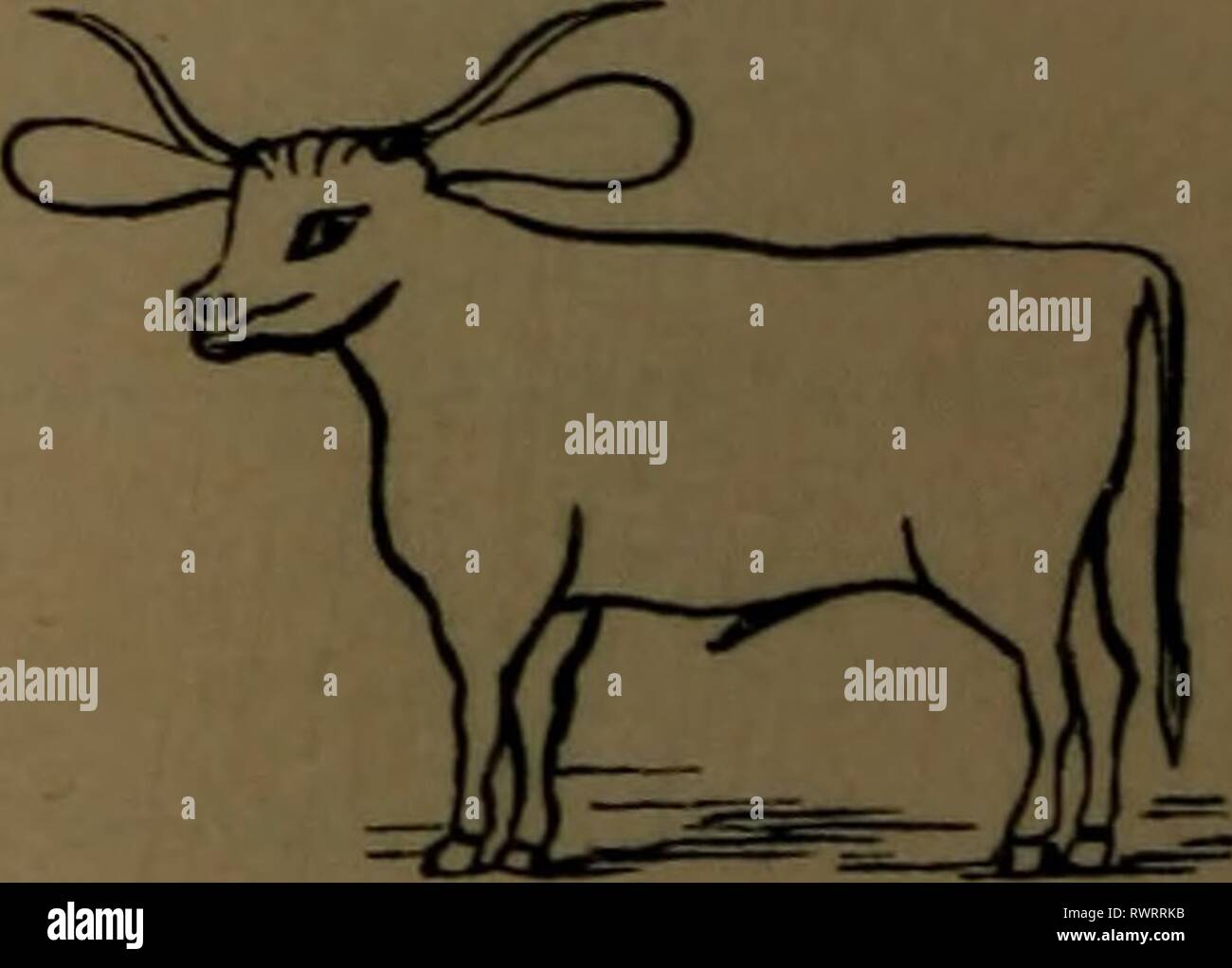 Elliot's book of forms; (1881 Stock Photo - Alamy