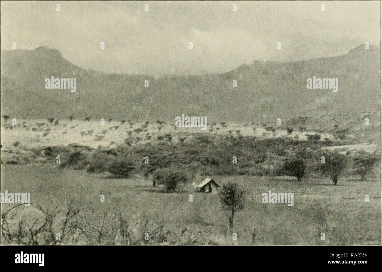 Bogol hi-res stock photography and images - Alamy