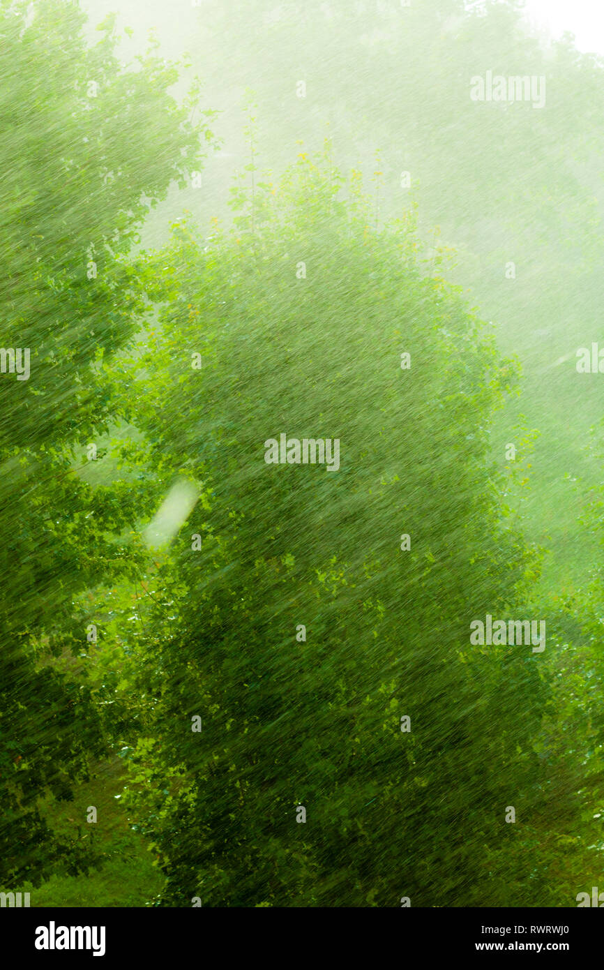 Summer rainy outside window, water drops droplets raindrops on glass windowpane as background ...