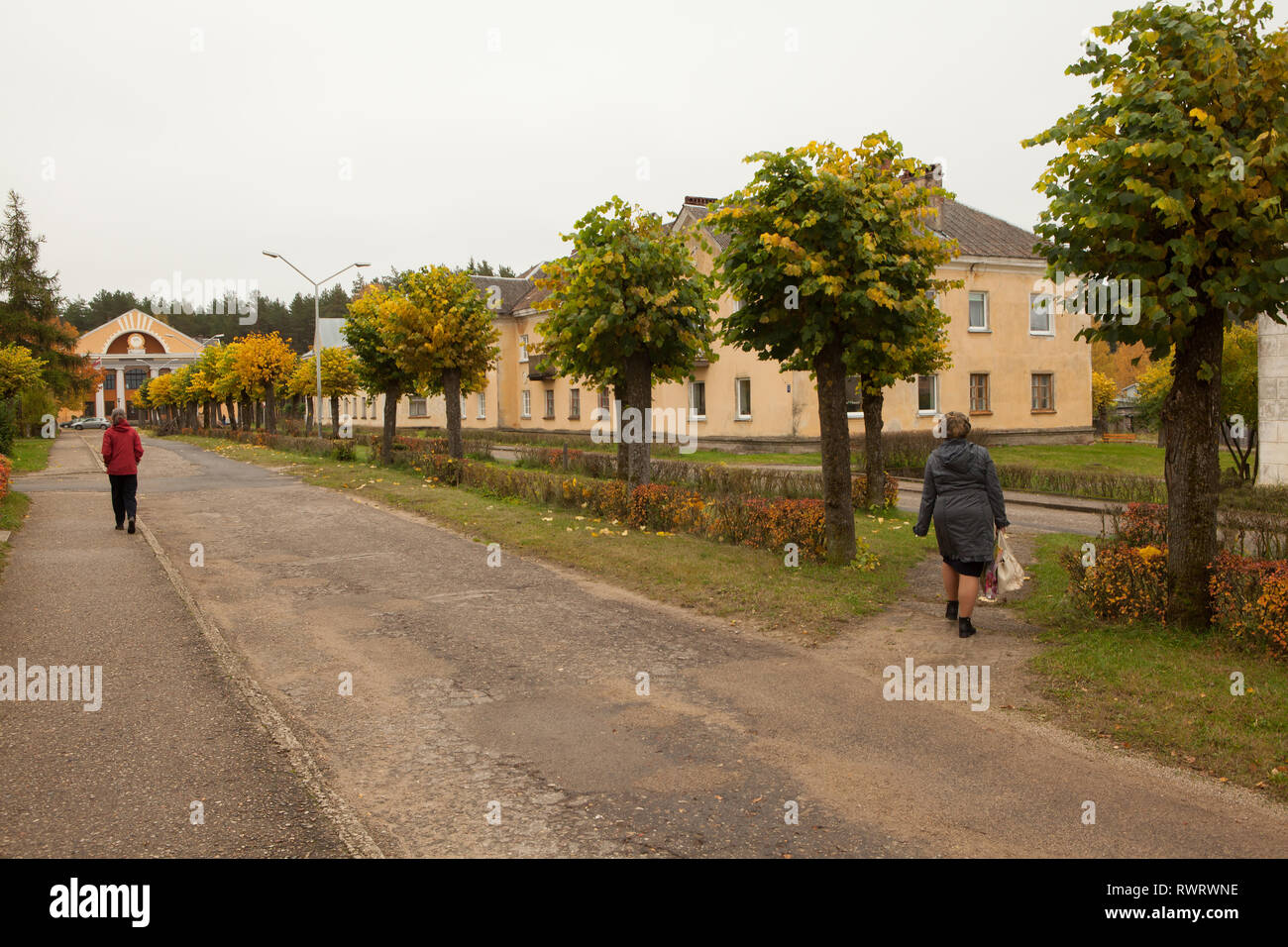 Two people walking down tree lined street, rear view, Latvia Stock ...