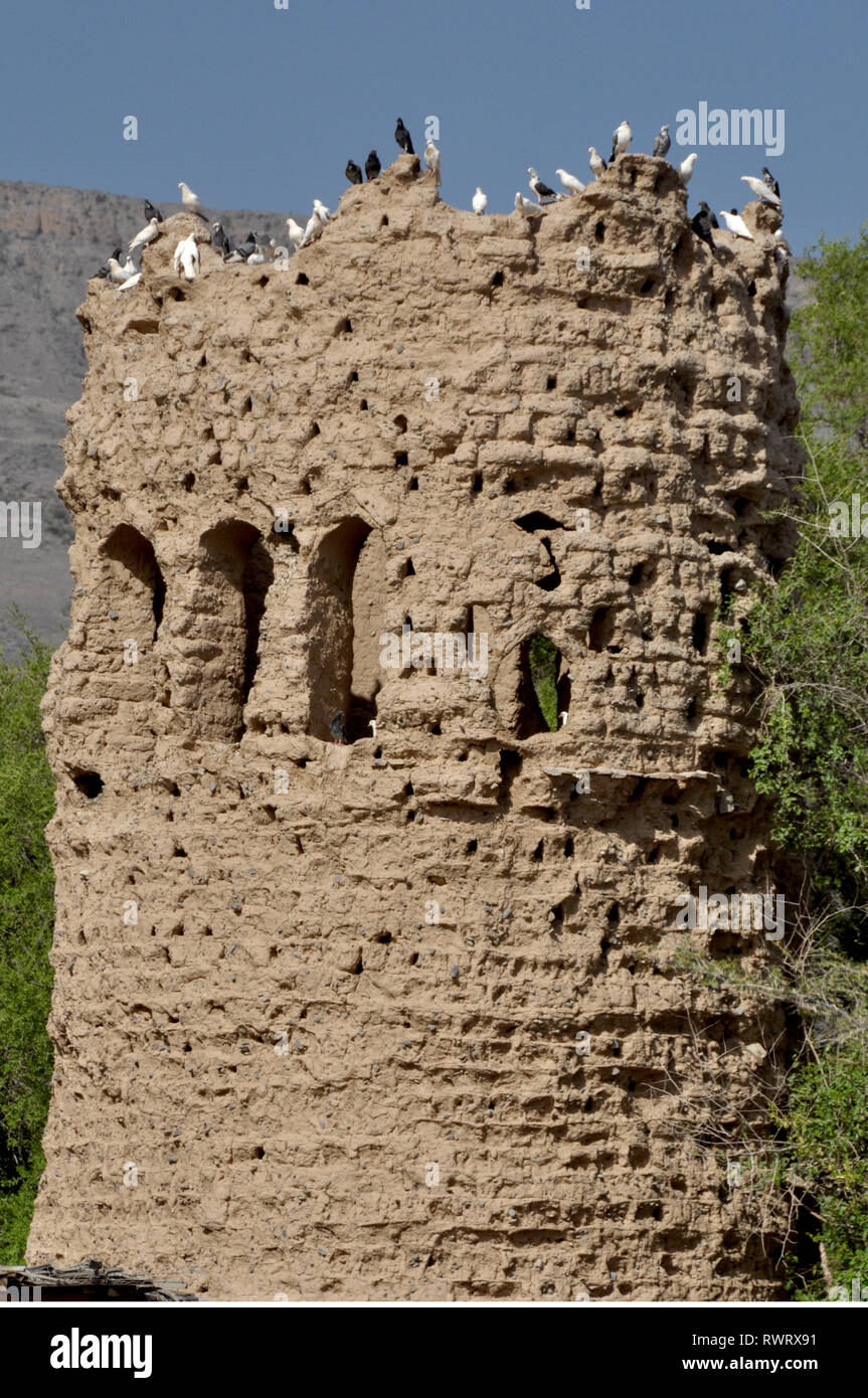 mud fortress tower Oman Stock Photo - Alamy