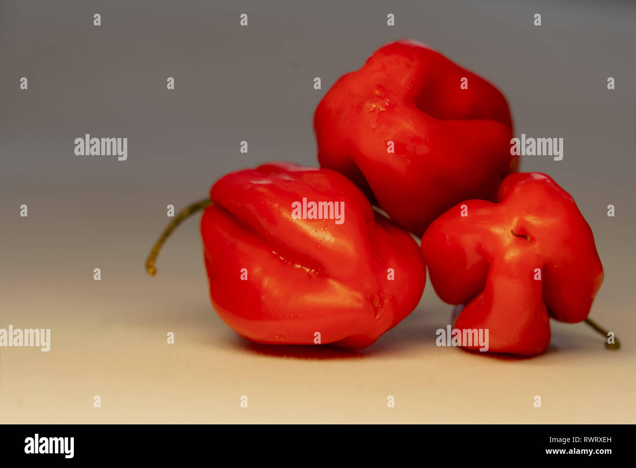 Three fresh ripe Caribbean red Habanero hot chili peppers with green ...