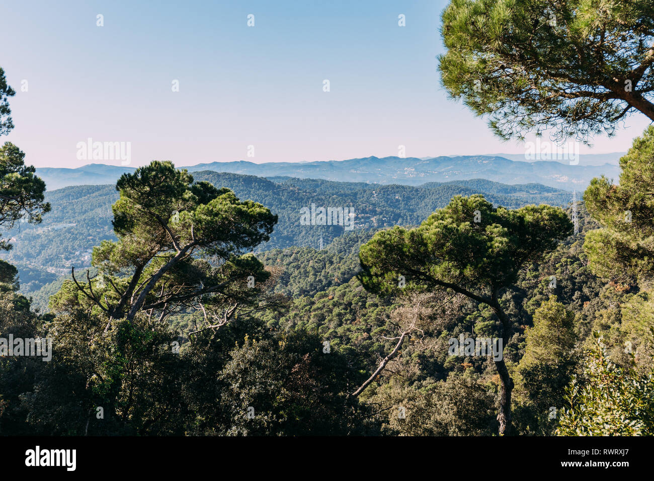 scenic view of green trees and hills covered with forest, barcelona ...