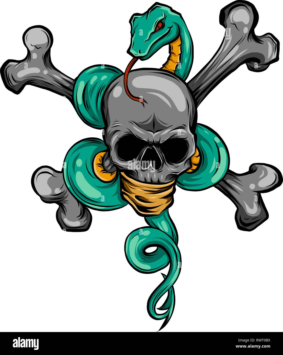 Skeleton of snake hi-res stock photography and images - Alamy