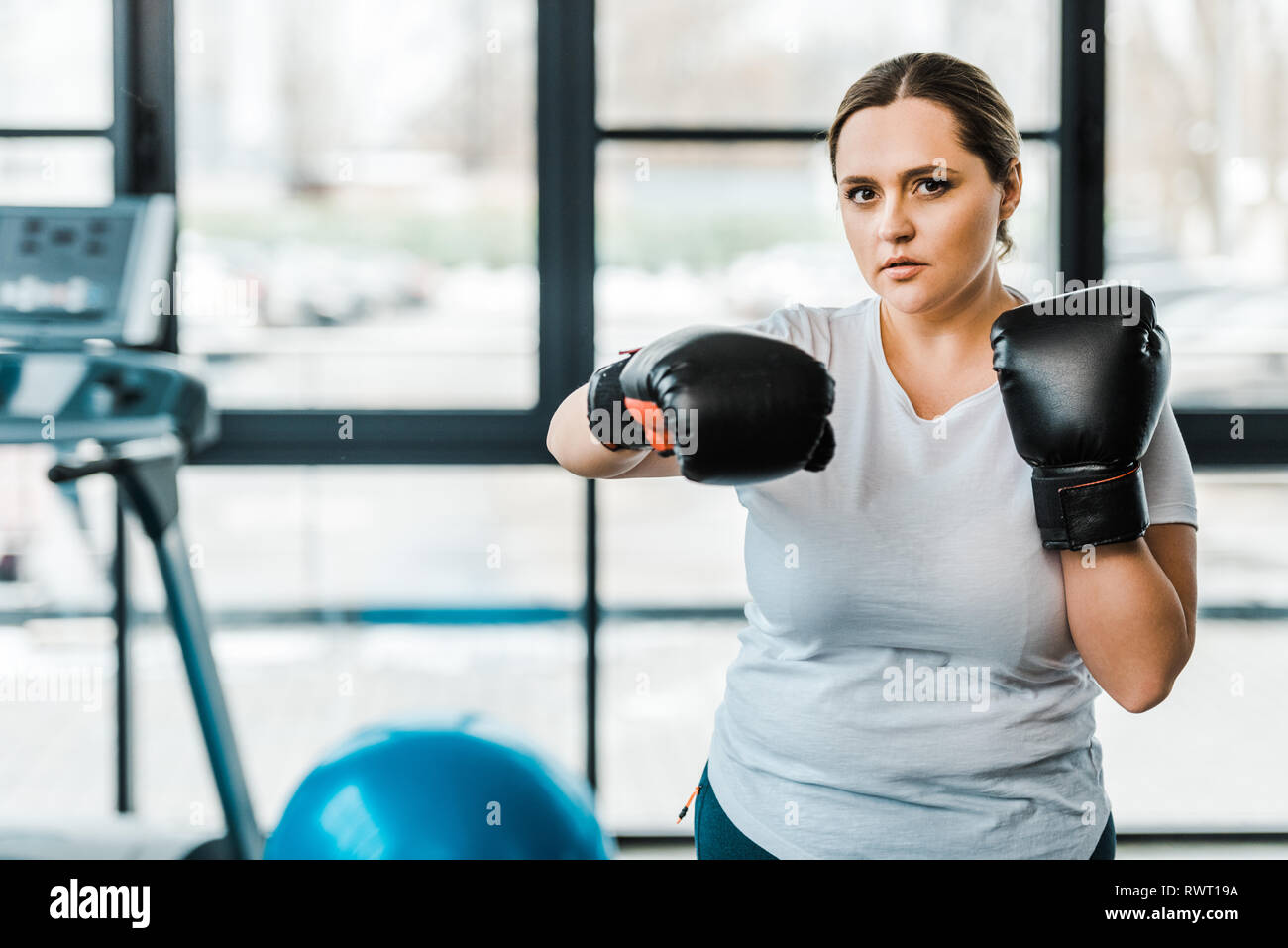 serious overweight woman wearing boxing gloves practicing kickboxing in ...