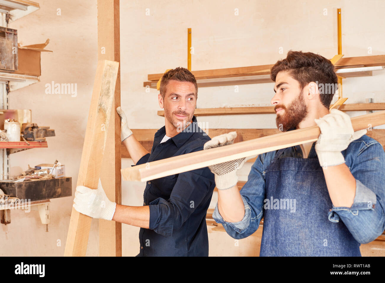 Two young men as carpenters apprentices carry wooden boards together ...