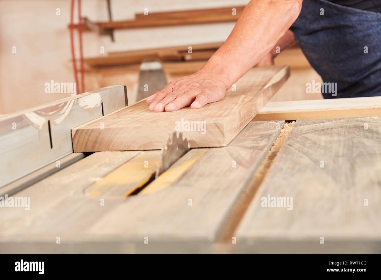 Artisan saws wood board with the circular saw in carpentry or joinery ...