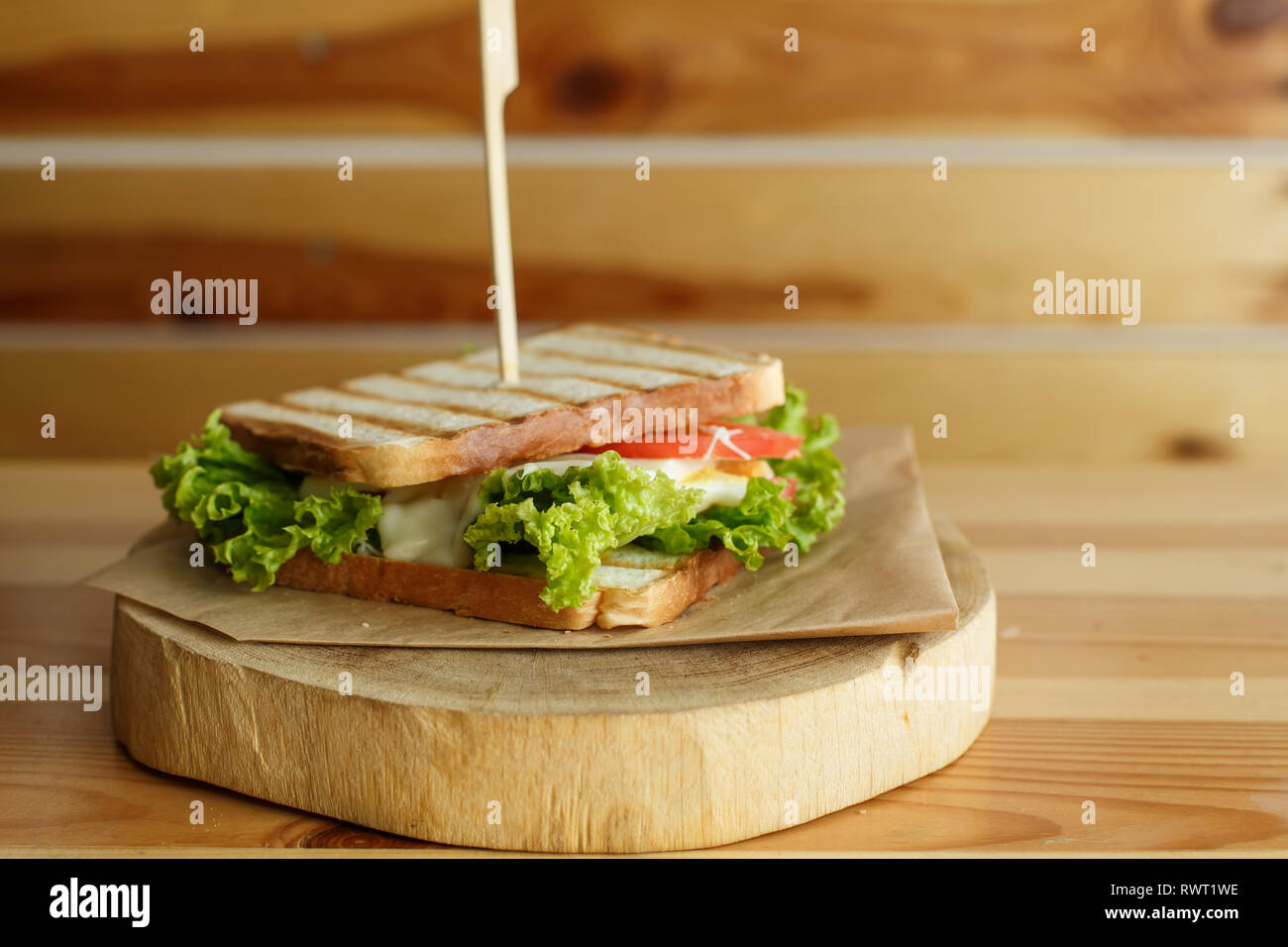 juicy sandwich with bacon, fresh vegetables, green salad and dark lines ...