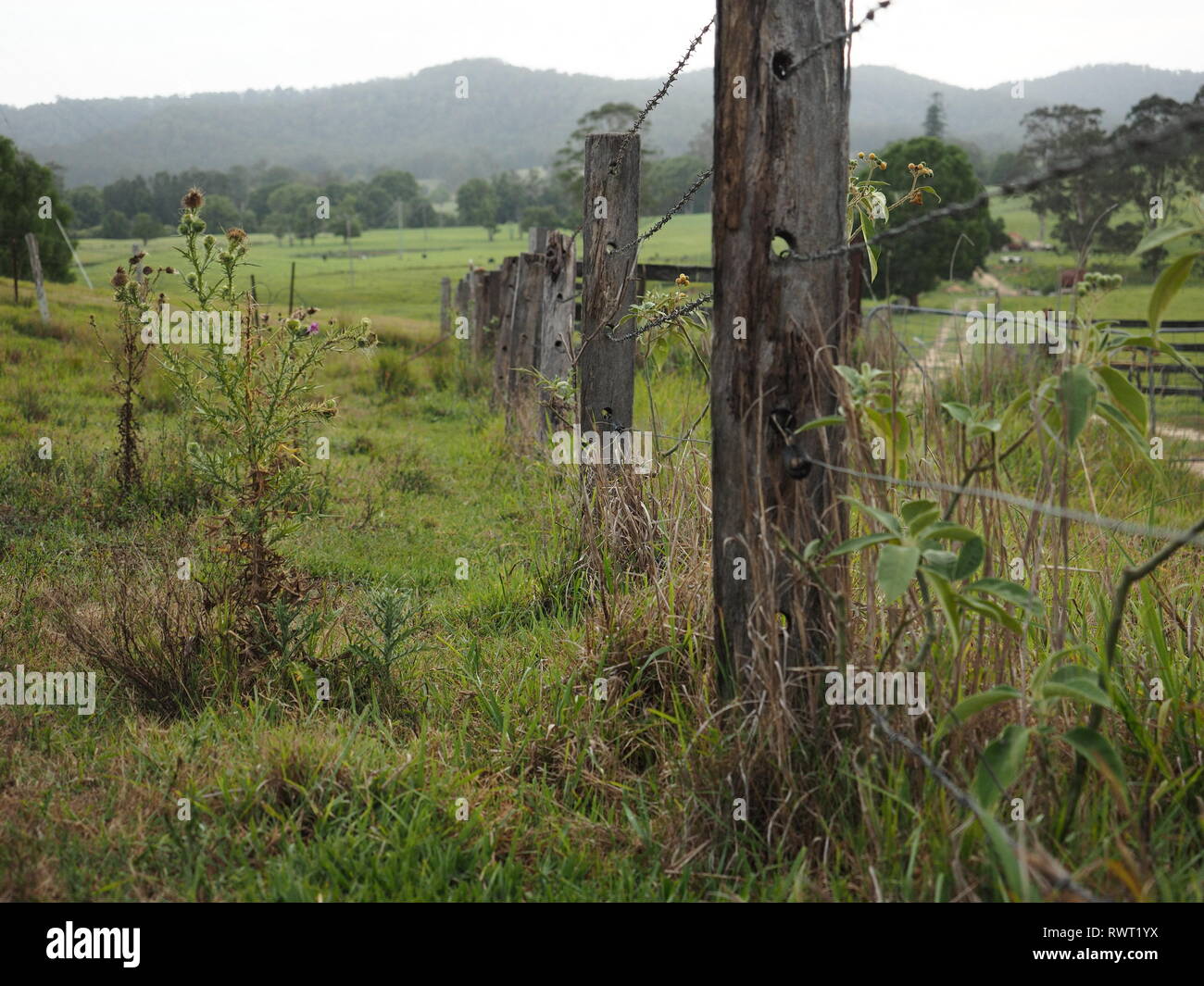 Paddock fence hi-res stock photography and images - Alamy