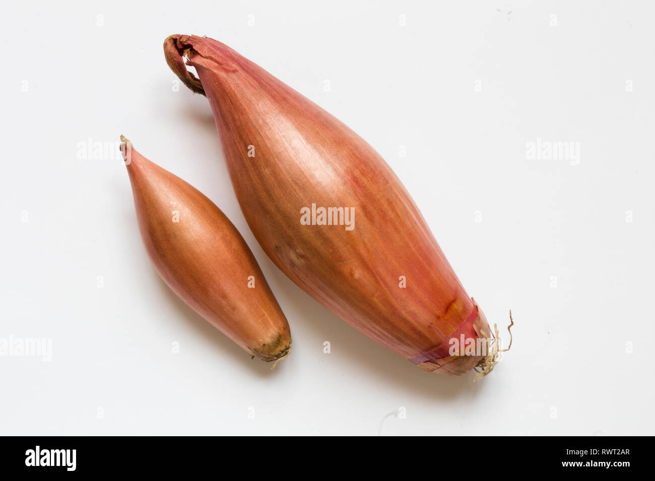 Healthy shallots hi-res stock photography and images - Alamy