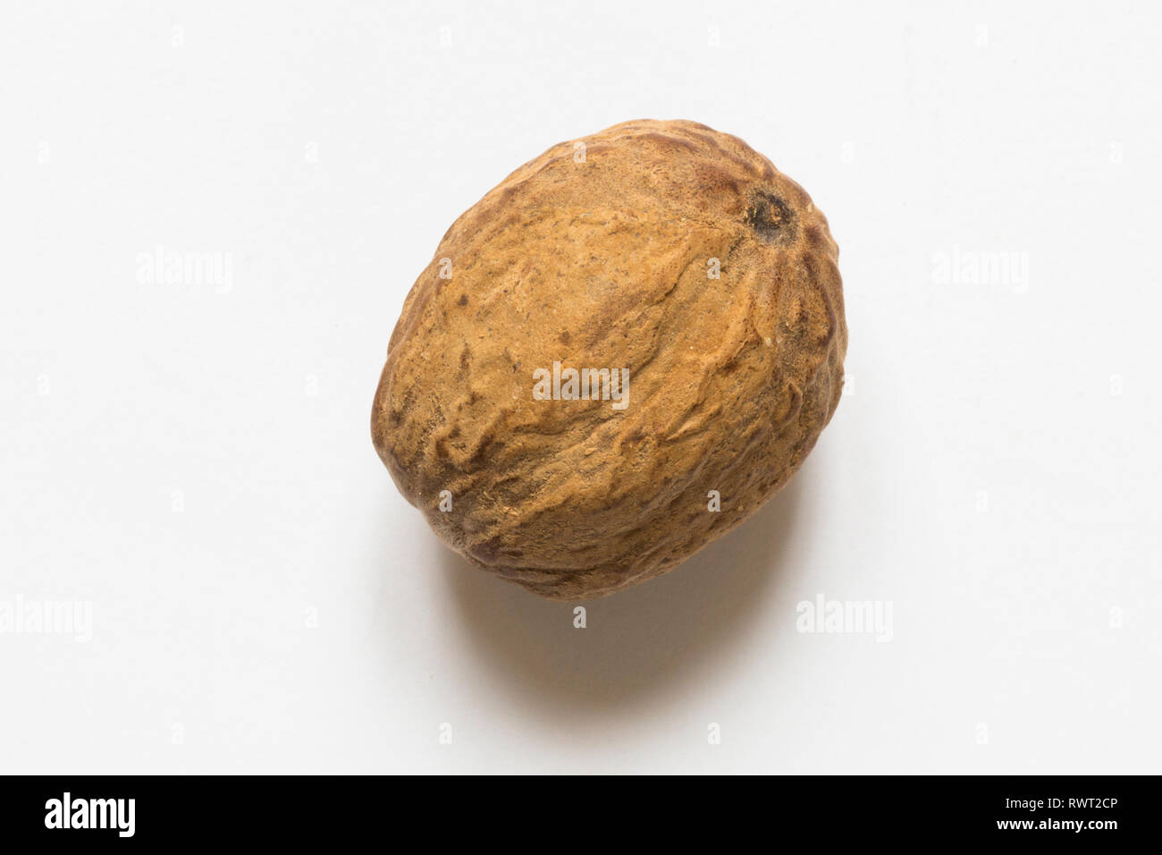 Nutmeg nut hi-res stock photography and images - Alamy