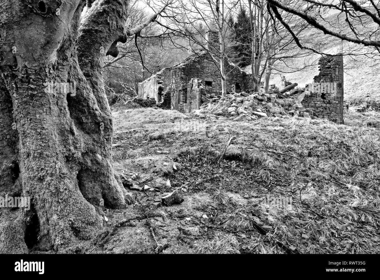 Howdon hi-res stock photography and images - Alamy