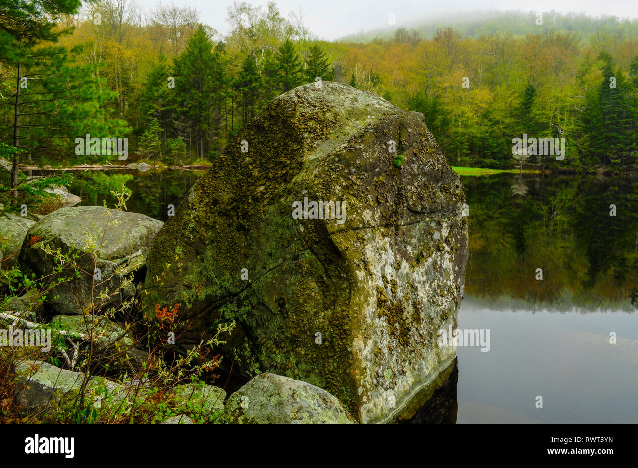 Spring reflections in the upper Siamese Pond in the Adirondack Forest ...