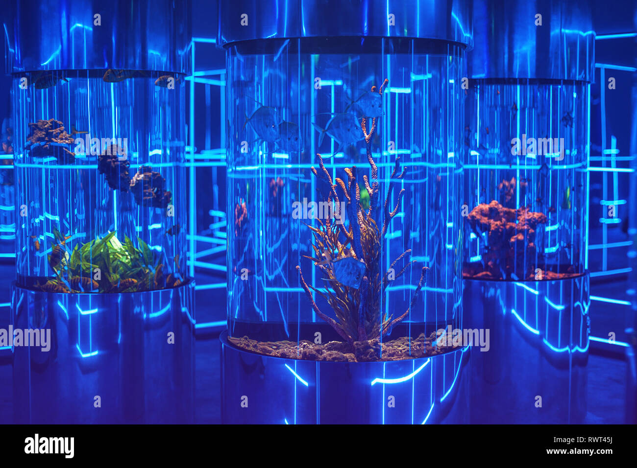 Oceanarium interior hi-res stock photography and images - Alamy