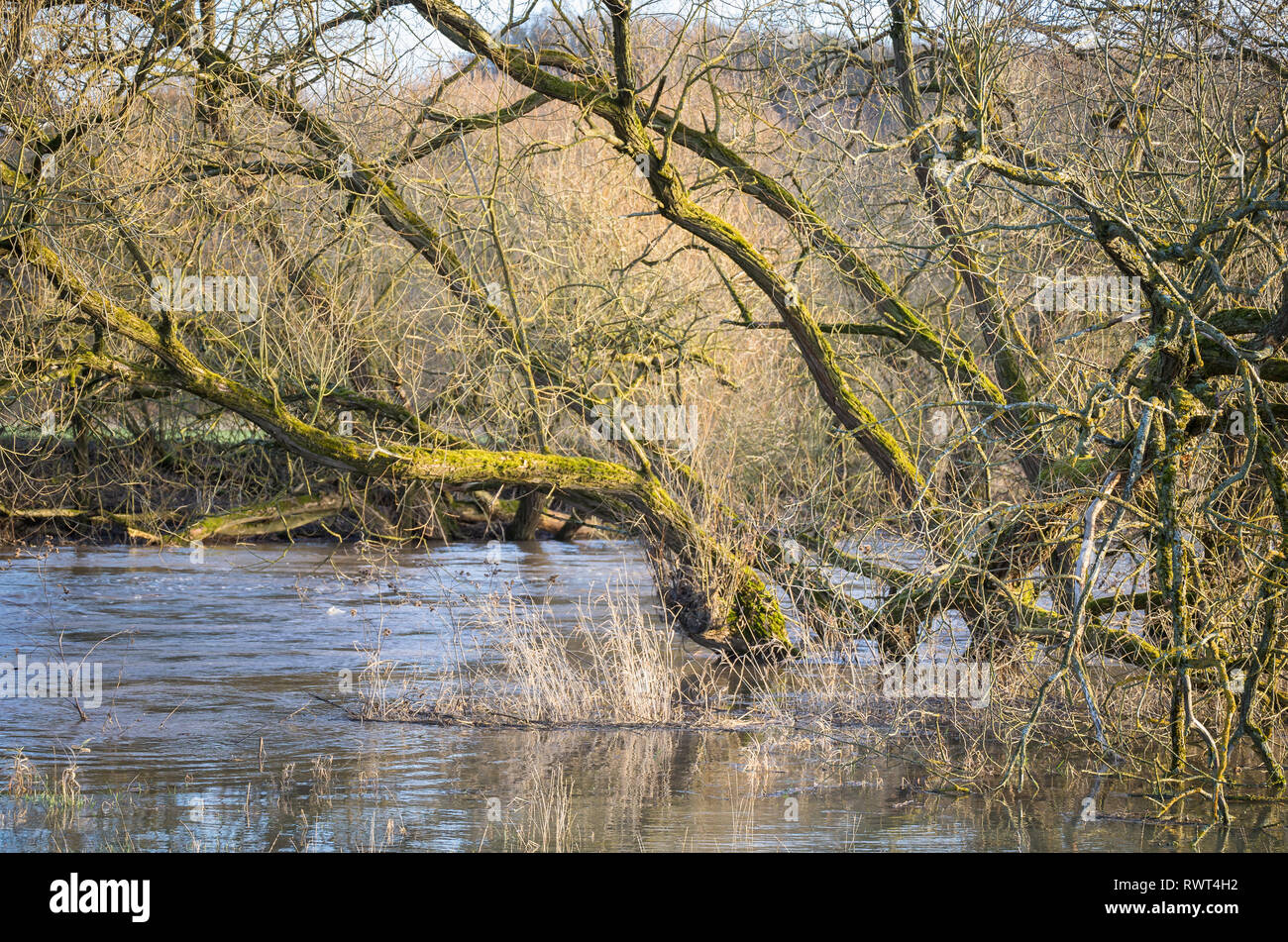 Flussufer hi-res stock photography and images - Alamy